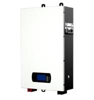 China 48V 10kWh LiFePO4 Powerwall Battery for Home Energy Storage with BMS for sale