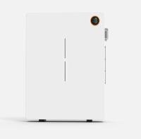 China 10kWh Wall-Mounted LiFePO4 Battery 6000 Cycle Energy Storage System for sale
