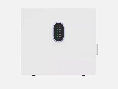 China 51.2V 5kWh Wall Mounted LiFePO4 Battery 6000 Cycle Home Energy Storage for sale