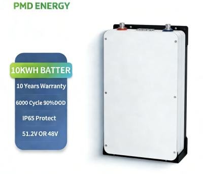 China Powerwall Wall-Mounted LiFePO4 Solar Home Energy Storage 48V 200Ah 10kWh IP65 for sale