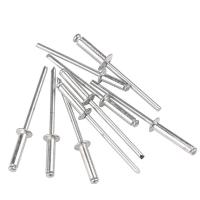 China Steel Car Maintenance Accessories Uncoated Aluminium Sealed Rivets for sale