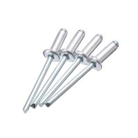 China Steel Car Maintenance Accessories Uncoated Aluminium Sealed Rivets for sale