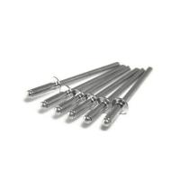 China Sliver Car Maintenance Accessories Self Plugging Open End waterproof rivets aluminum for sale