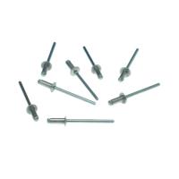 China Sliver Car Maintenance Accessories Self Plugging Open End waterproof rivets aluminum for sale