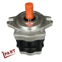 China Forklift Cooling Parts Sliver Aluminum Hydraulic Gear Pump 1172001069 for sale