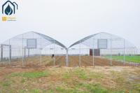 China Low Cost Agricultural Multi-span Prefab Serre Greenhouse For Tomato And Pepper Growing for sale