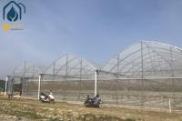 China Film Multi-Span Nursery Greenhouse Prefabricated Hydroponic System Greenhouse for sale