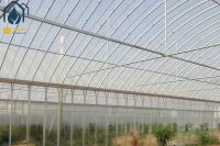 China Agriculture Multi Span Poly Tunnel Greenhouse Environment Friendly For Vegetables for sale