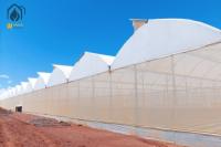 China Energy Efficient Tropical Multispan Green House With Temperature And Humidity Regulation for sale