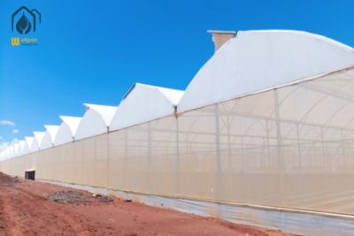 China Energy Efficient Tropical Multispan Green House With Temperature And Humidity Regulation for sale