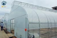 China Hot Galvanized Steel Structure Commercial Tunnel Flower Vegetable Growing Greenhouse for sale