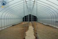 China Single Span Tunnel Greenhouse for sale