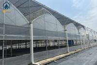 China Multi Span Herb Greenhouse Farming UV Resistant With Hydroponic System for sale