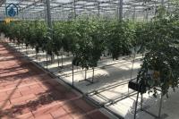 China Advanced Steel Gutter For Hydroponic And Substrate Steel Planting Systems for sale