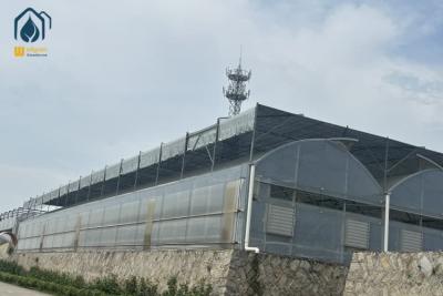 China Multi Span Greenhouse Project Management Advanced Irrigation For Large Farms for sale