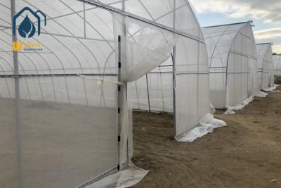 China Commercial Industrial Single Span High Tunnel Tomato Plastic Agricultural Greenhouse for sale