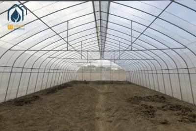 China Farming Plastic Green House Metal Frame Structure Single Span High Tunnel Agriculture Greenhouse For Plants for sale