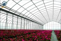 China Commercial Prefab Structure Modular Tunnel Plastic Film Greenhouse For Agriculture Farming for sale