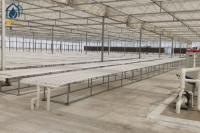 China NFT Hydroponic Pipe And Pipeline System For Efficient Vegetable Cultivation for sale