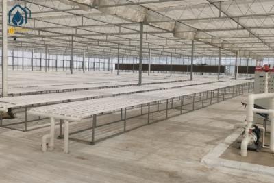 China NFT Hydroponic Pipe And Pipeline System For Efficient Vegetable Cultivation for sale