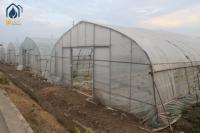 China Commercial Tunnel Greenhouse Agriculture Poly Tunnel For Higher Crop Production for sale