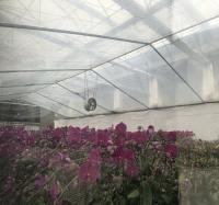 China Outdoor Green House Metal Frame Farming Agriculture Commercial Large Multi-span Plastic Greenhouse For Plants for sale
