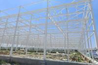 China Turnkey Multi Span Film Green House Greenhouse Structure Commercial Greenhouse Frames For Plants for sale