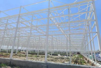 China Turnkey Multi Span Film Green House Greenhouse Structure Commercial Greenhouse Frames For Plants for sale