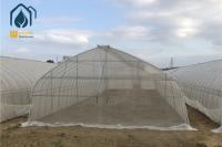 China Full Open Roof Ventilation Tunnel Type Greenhouse for Agricualtural Farming for sale