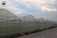 China Herb Greenhouse Multi Span Indoor Green House For Year Round Cultivation for sale