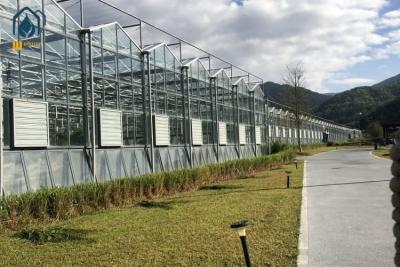 China Agricultural Glass Greenhouse For Year Round Vegetable Flowers Harvests for sale