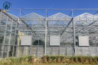 China Large Tempered Glass Greenhouse For Growing Organic Vegetables Year Round for sale