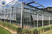 China Transparent Hydroponic Glass Greenhouse For Year Round Organic Vegetables for sale