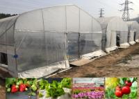 China Easy Assembled Waterproof PE Film Prefabricated Single Span Tunnel Greenhouse for Strawberry Tomato Flower for sale