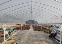 China Polytunnel Tunnel Single Span Economic Agricultural Tomato And Strawberry Greenhouse for Smart Hydroponic Sustainable Farming for sale