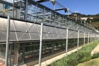 China Glass Greenhouse Galvanized Steel Pipe 8M For High Yield Production for sale