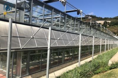 China Glass Greenhouse Galvanized Steel Pipe 8M For High Yield Production for sale