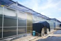 China Multi-Span Polycarbonate Greenhouse With Durable Easy Maintenance for sale