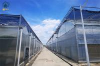 China Multi-Span Polycarbonate Greenhouse For Year-Round Crop Production for sale