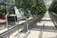 China Steel Hydroponic Gutter Growing System Substrate Planting Gutter For Tomato for sale