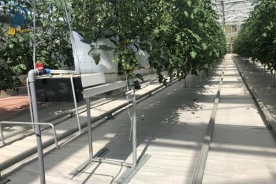 China Steel Hydroponic Gutter Growing System Substrate Planting Gutter For Tomato for sale