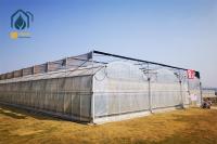 China Multi Span Greenhouse Plastic Film PE Film Greenhouse For Vegetable Production for sale