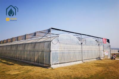 China Multi Span Greenhouse Plastic Film PE Film Greenhouse For Vegetable Production for sale