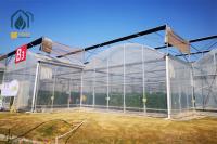 China Multi Span Agricultural Greenhouse Temperature Control For Year Round Crops for sale