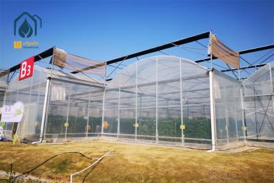 China Multi Span Agricultural Greenhouse Temperature Control For Year Round Crops for sale