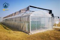 China Multi Span Agriculture Greenhouse Farming Greenhouse For Commercial Production for sale