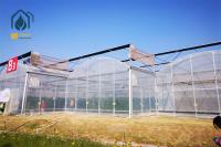 China Multi Span Temperature Control Greenhouse Commercial Greenhouse Frame System for sale