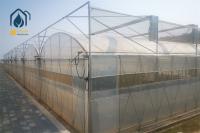 China Multi Span Metal Frame Greenhouse Cultivation Greenhouse For Commercial Farming for sale
