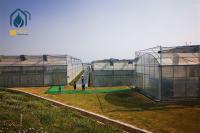 China Complete Greenhouse Multi Span Greenhouse With Hydroponic System for sale