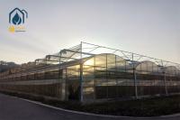 China Large Scale Multi Span Film Greenhouse For Commercial Vegetable Production for sale